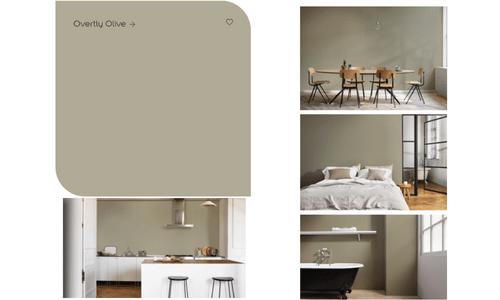 What Colours Go With Overtly Olive?