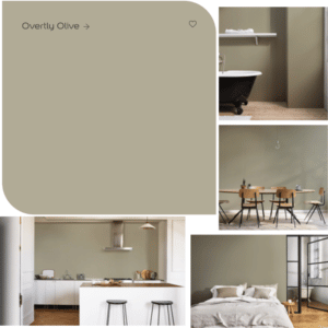 What Colours Go With Overtly Olive?