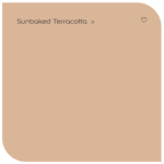 Terracotta Paint Colours: The Ultimate Spicy Shades For Your Interior