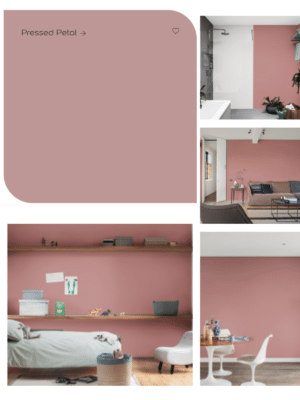 What Colours Go With Dulux Pressed Petal? - Sleek-chic Interiors