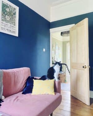 Hague Blue vs Stiffkey Blue - Which Farrow & Ball Blue Shade?
