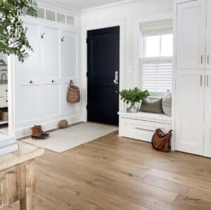 25 Inviting Front Door Entryway Into Living Room Ideas