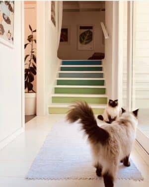 Ascend In Style With These Stunning 17 Painted Stairs Ideas