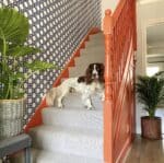 19 Stunning Orange Hallway Ideas For A Warm Welcome