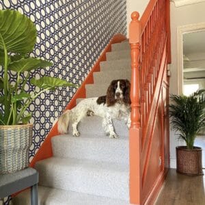 19 Stunning Orange Hallway Ideas For A Warm Welcome