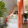19 Stunning Orange Hallway Ideas For A Warm Welcome