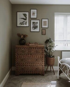 What Colours Go With Overtly Olive?